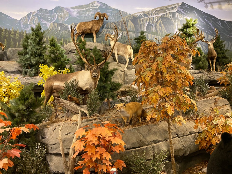 BASS PRO SHOPS (FORMERLY CABELA’S) - 15320 37 St NW, Edmonton AB ...