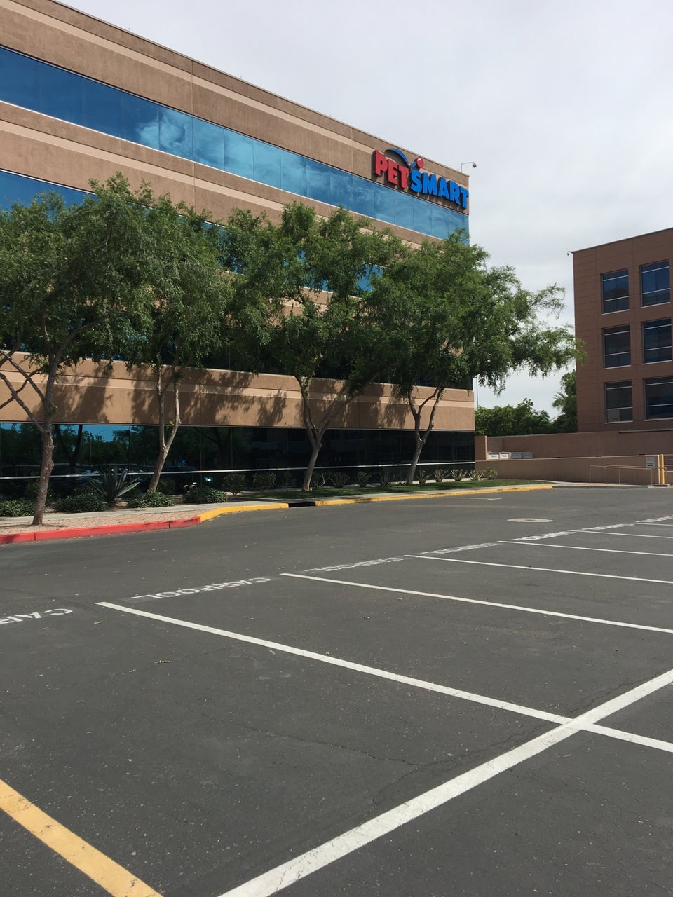 PETSMART CORPORATE OFFICE - Phoenix AZ - Hours, Directions, Reviews ...