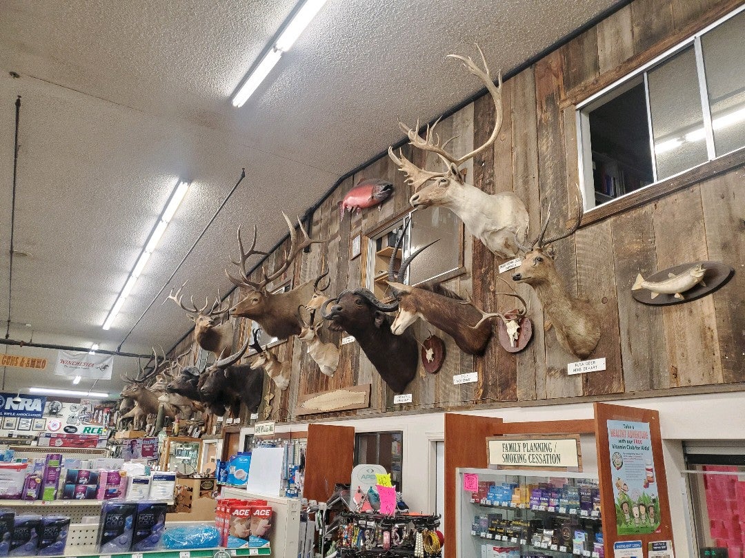 WESTERN DRUG & GENERAL STORE - Springerville AZ - Hours, Directions ...