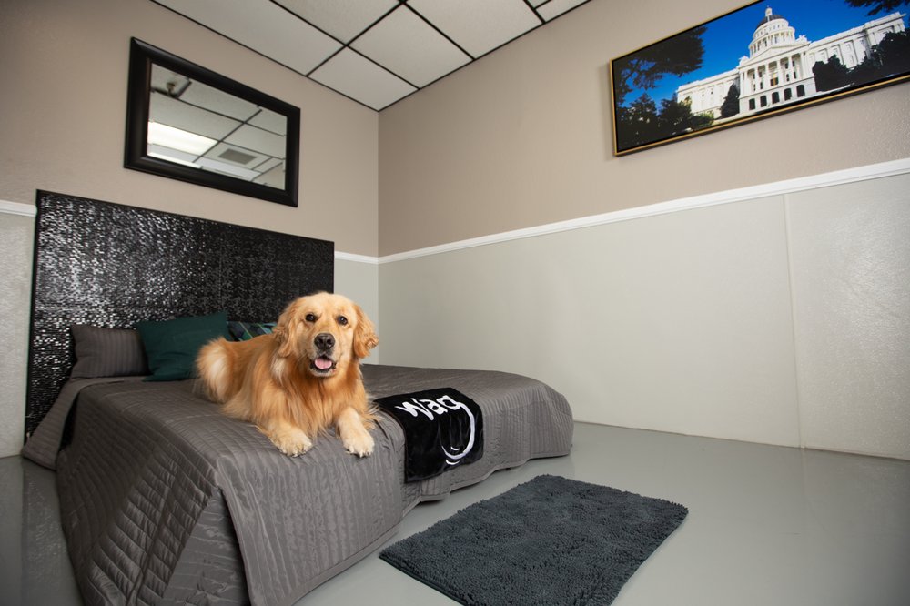 WAG HOTELS - WEST SACRAMENTO - West Sacramento CA - Hours, Directions ...