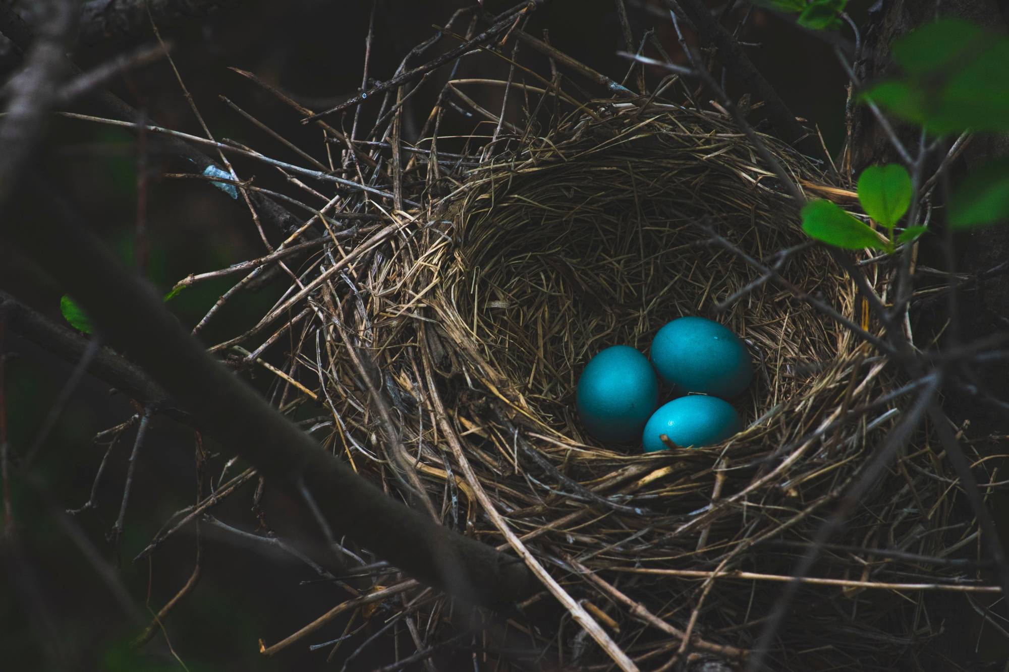 ANYTHINK WRIGHT FARMS - Thornton CO - Hours, Directions, Reviews ...