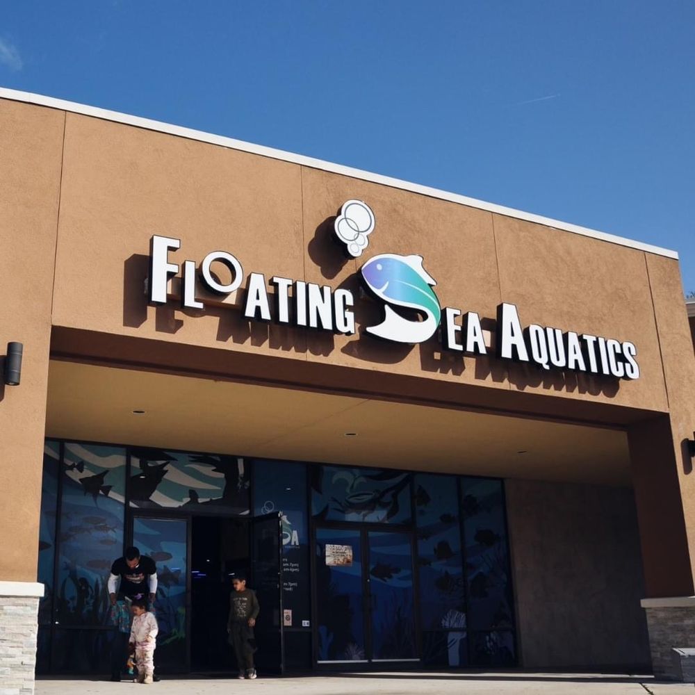 FLOATING SEA AQUATICS - Jacksonville FL - Hours, Directions, Reviews ...