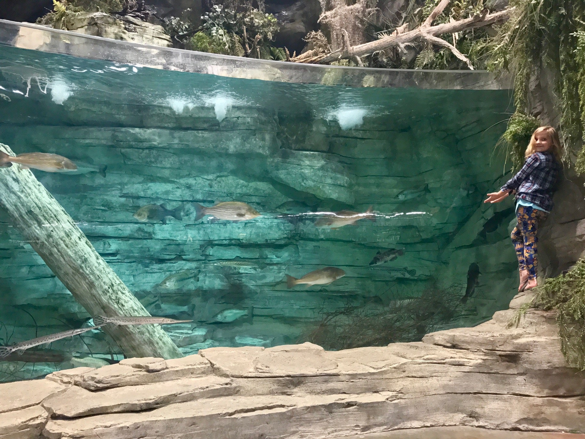 BASS PRO SHOPS - 10501 Palm River Rd, Tampa FL - Hours, Directions ...