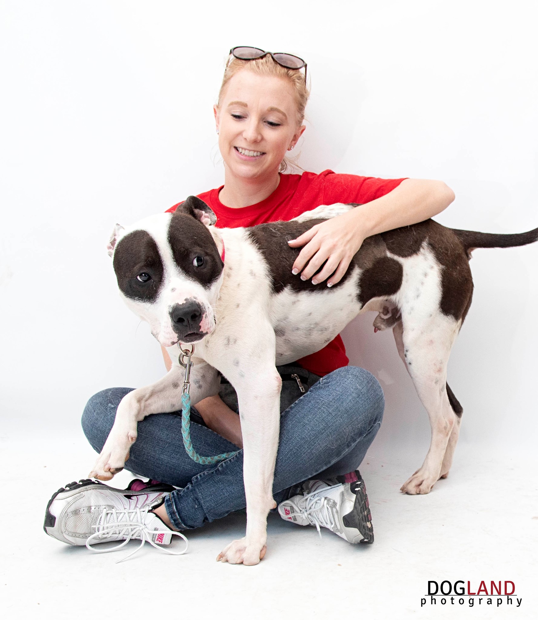 INDYHUMANE DOWNTOWN CLINIC - Indianapolis IN - Hours, Directions, Reviews - Loc8NearMe