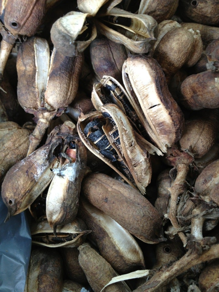 WEIS MARKETS - 6093 Spring Ridge Pkwy, Frederick MD - Hours, Directions ...