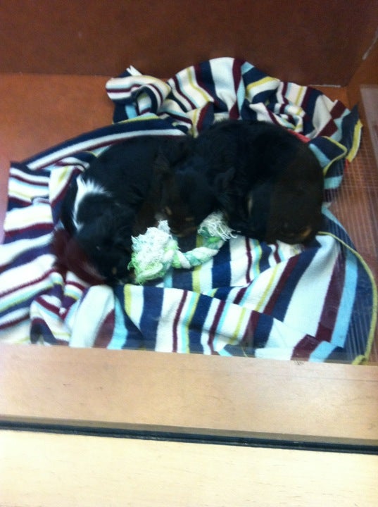 PETS R' INN - Grand Forks ND - Hours, Directions, Reviews - Loc8NearMe