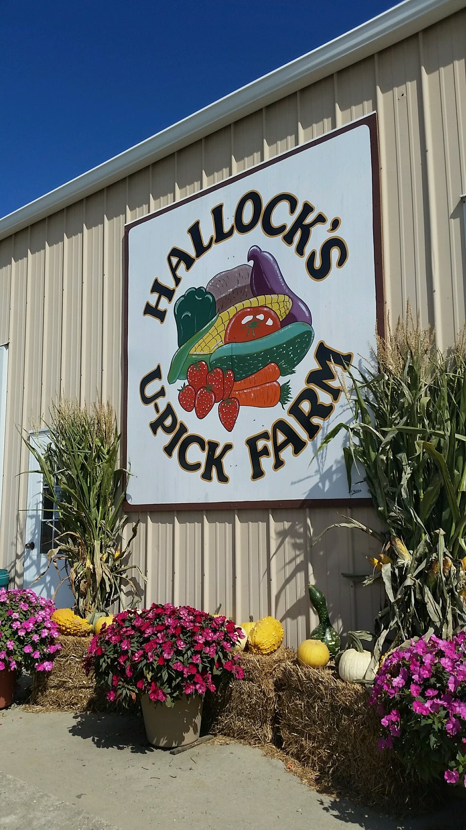 HALLOCK'S U-PICK FARM & GREENHOUSE LLC - New Egypt NJ - Hours ...