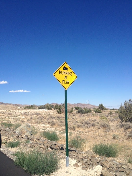 BUNNYRANCH LEGAL NEVADA BROTHELS - Mound House NV - Hours, Directions ...