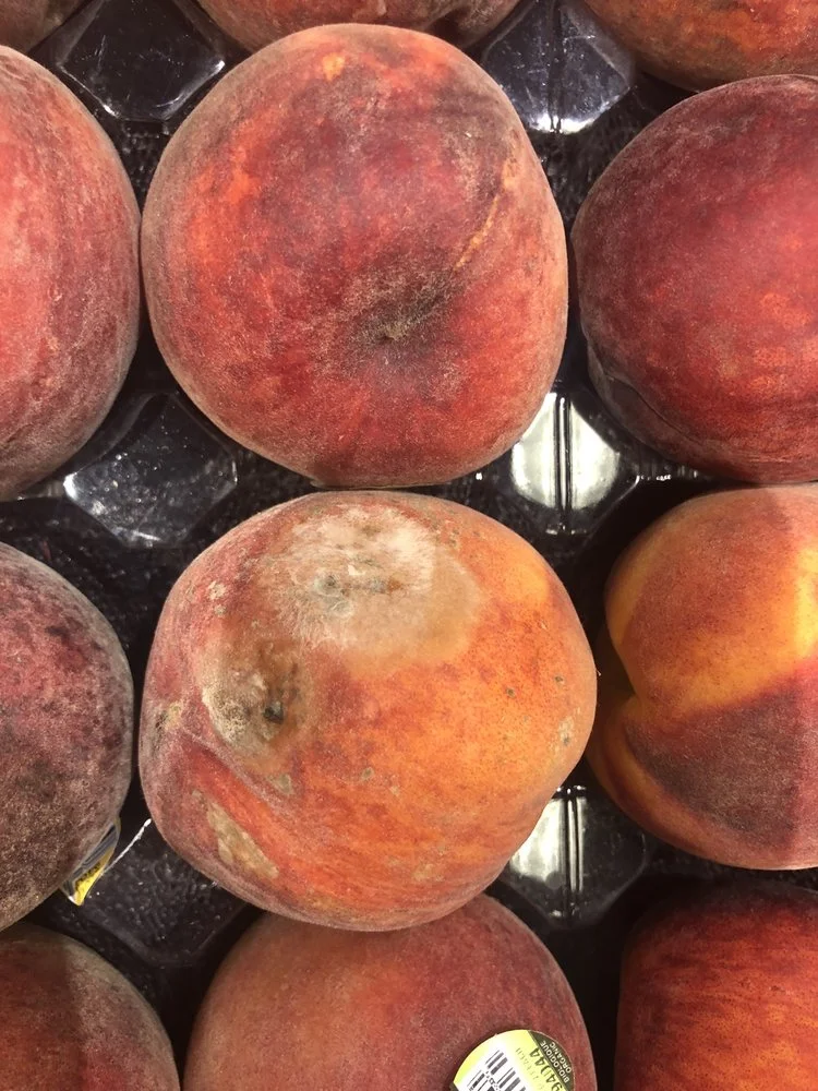 TOPS FRIENDLY MARKETS - 119 W Seneca St, Manlius NY - Hours, Directions ...