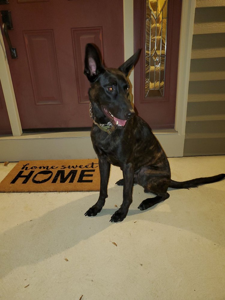 THE BULLET RANCH - Pataskala OH - Hours, Directions, Reviews - Loc8NearMe