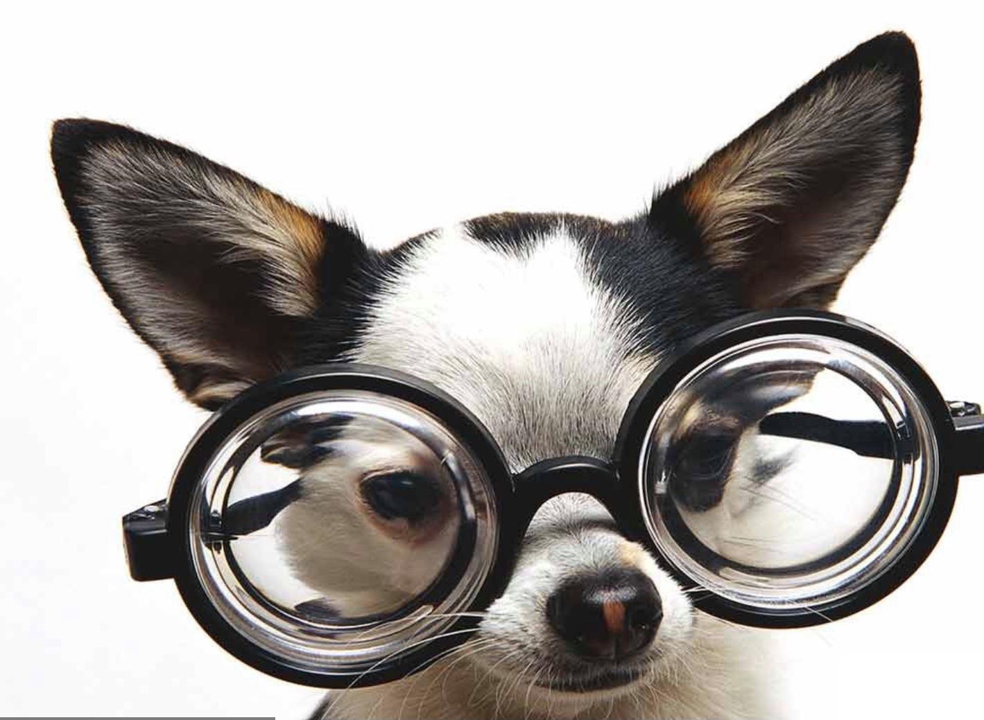 WALMART SUPERCENTER - 2925 Glendale Ave, Toledo OH - Hours, Directions ...