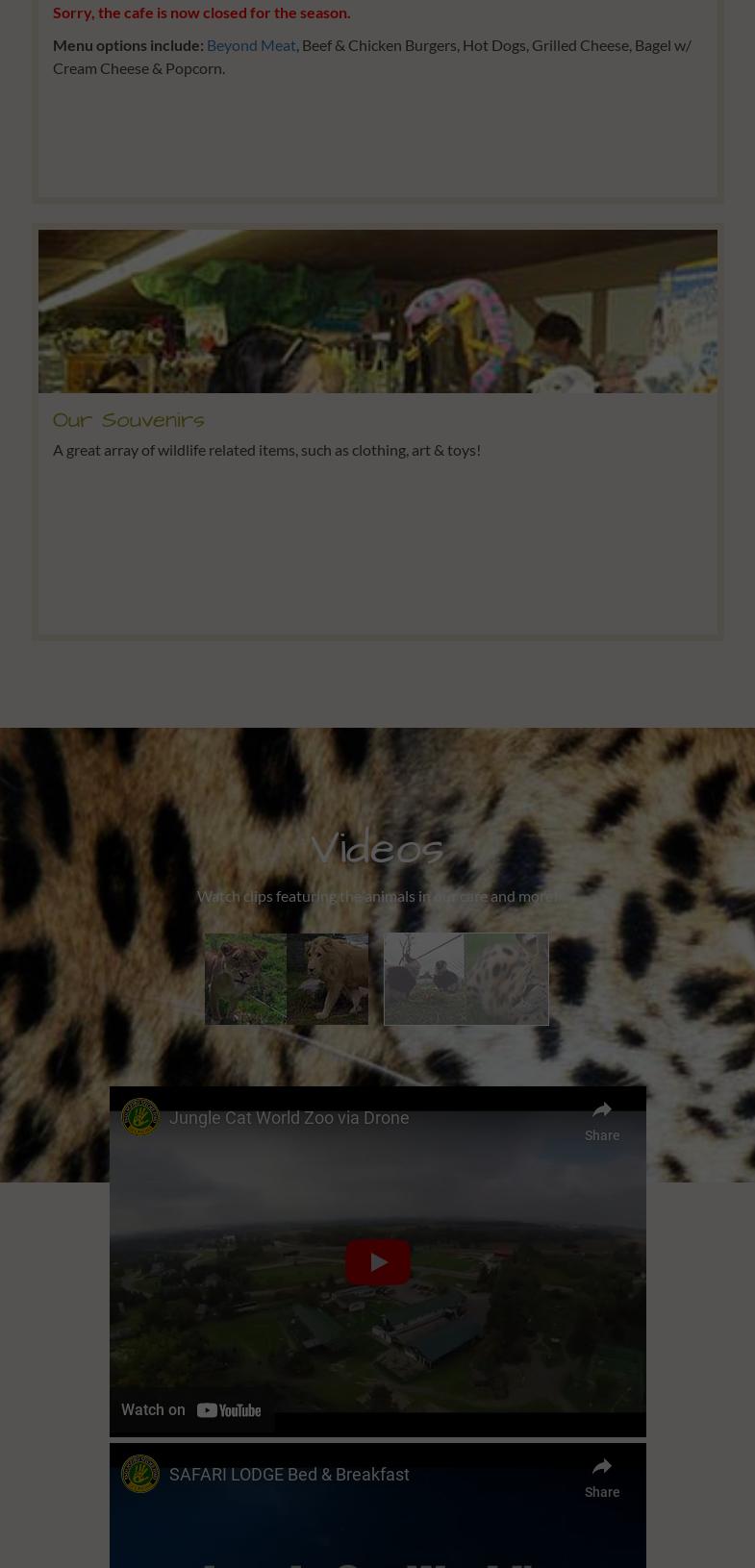 Jungle Cafe, Orono - Menu, Reviews, Photos (19) - Restaurantji