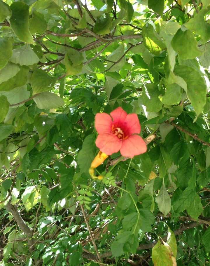 CODORUS STATE PARK SWIMMING POOL - Hanover PA - Hours, Directions ...