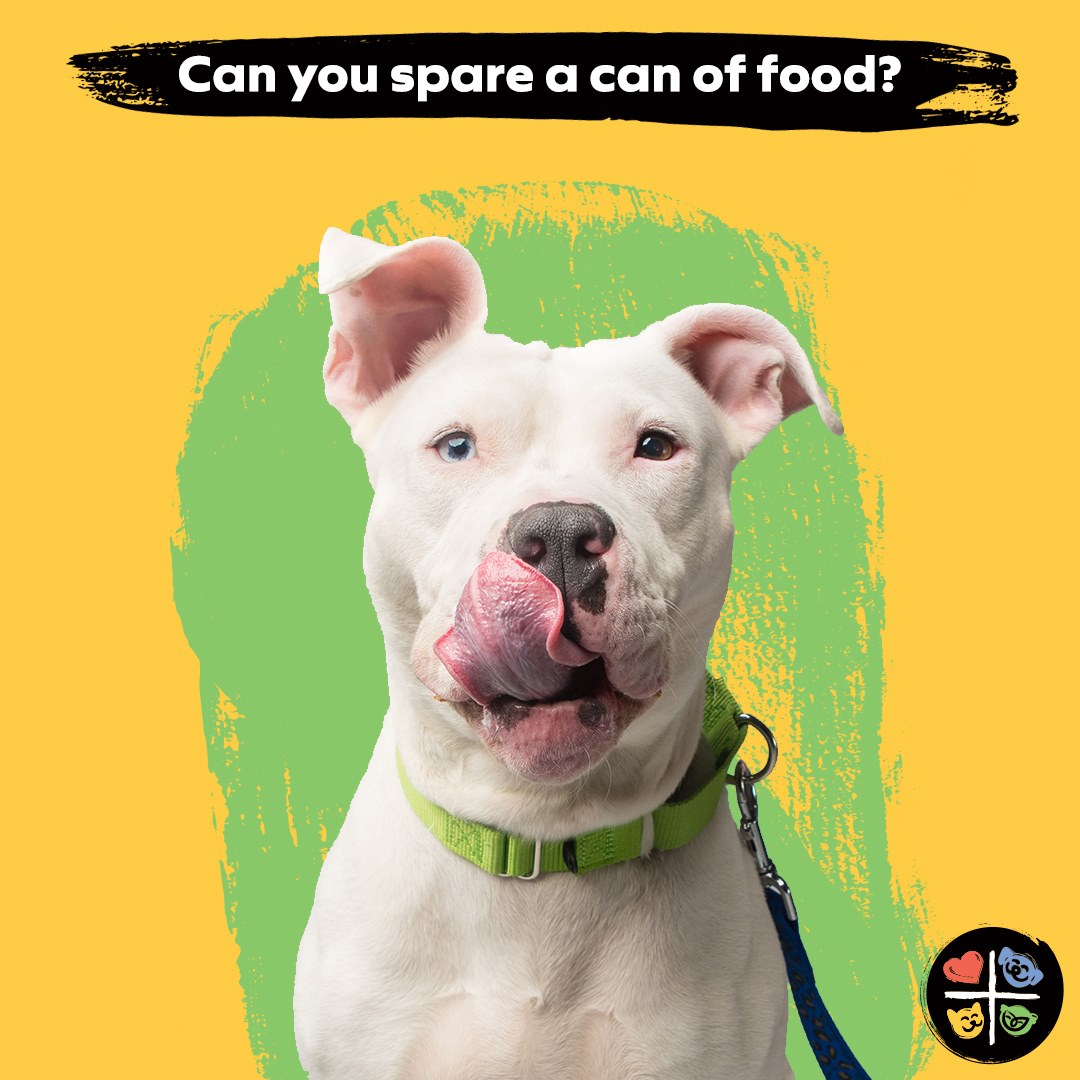 HUMANE ANIMAL RESCUE PITTSBURGH - Pittsburgh PA - Hours, Directions ...