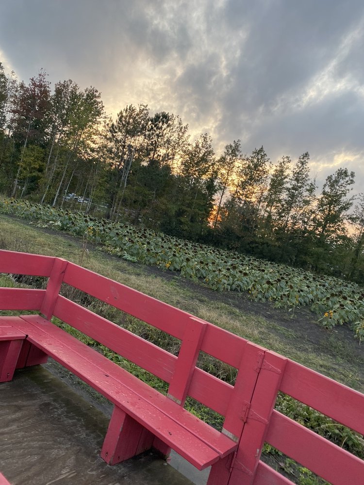 HICKORY RIDGE FARM - Chesapeake VA - Hours, Directions, Reviews ...