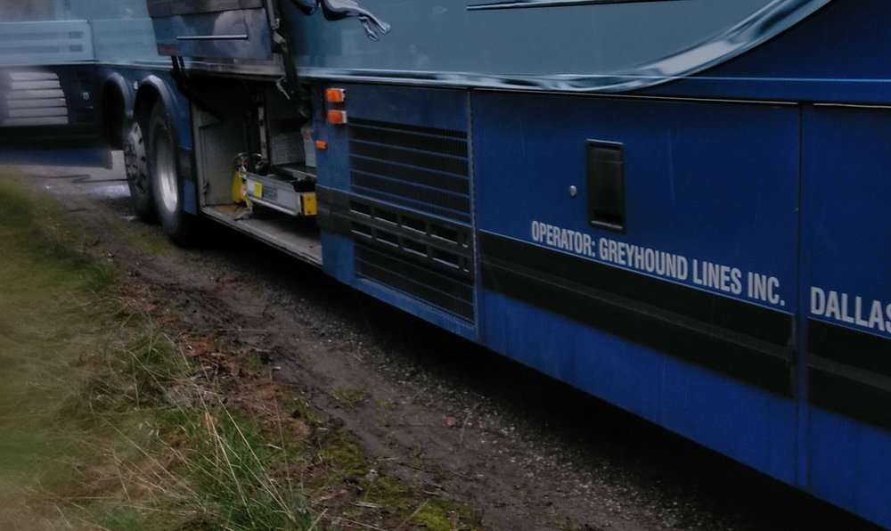 GREYHOUND: BUS STATION - Seattle WA - Hours, Directions, Reviews ...