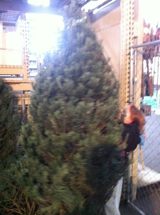 MENARDS - 3210 N Clairemont Ave, Eau Claire WI - Hours, Directions ...